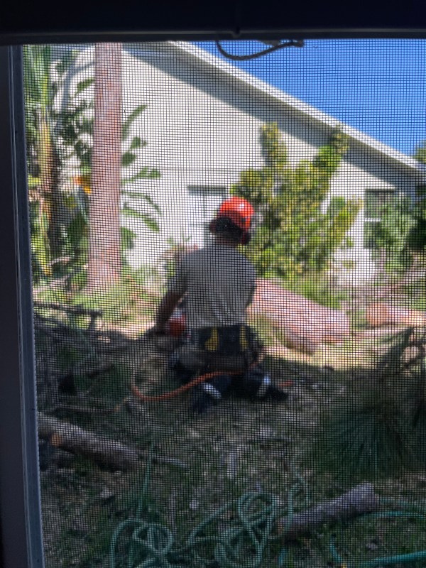 Portfolio – Michaels Tree Services
